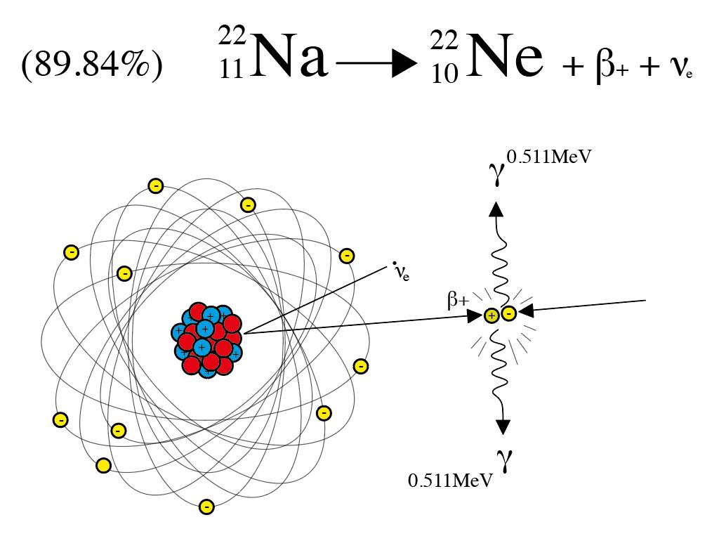 Experiments in sci-art with genomics and nuclear